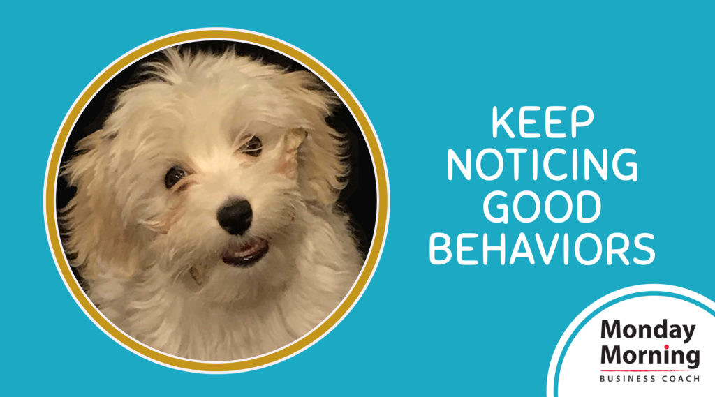 Keep Noticing Good Behaviors - Carpenter Smith Consulting, LLC